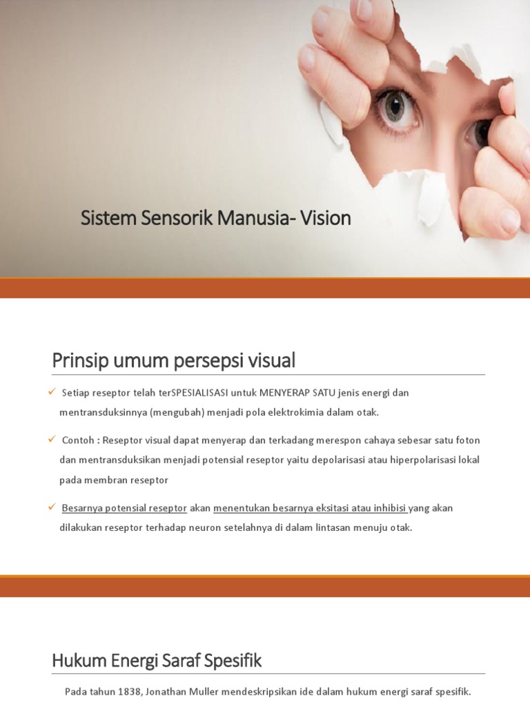 Sistem Sensorik Manusia | PDF