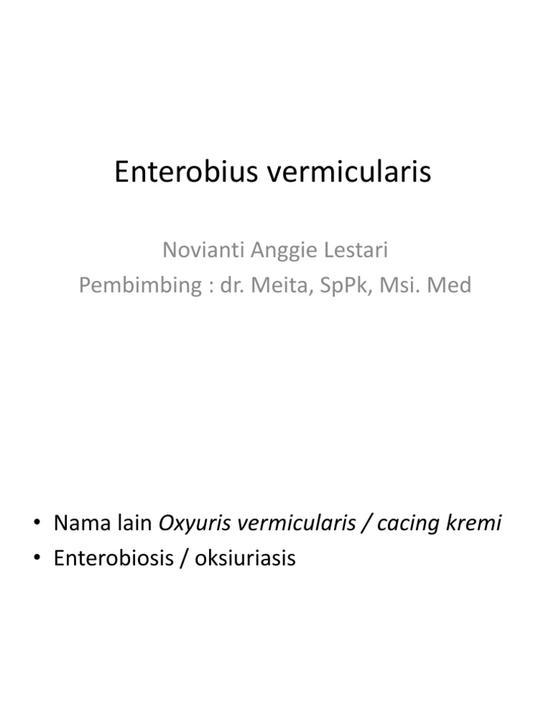 Enterobius Vermicularis | PDF