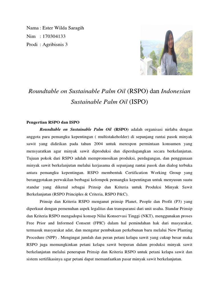 Rspo Dan Ispo | PDF