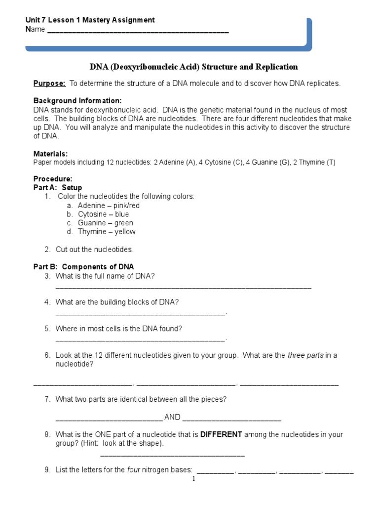 DNA Cut Out Activity | PDF | Nucleotides | Dna