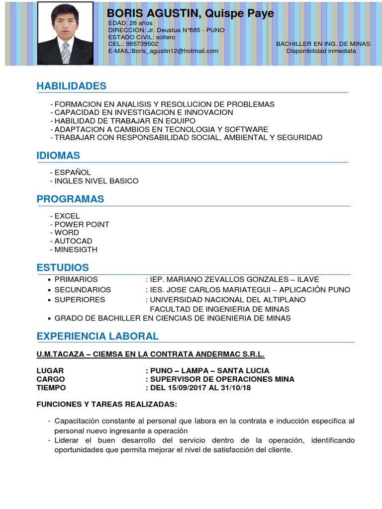 Curriculum Vitae Boris Agustin Q. | PDF | Ingeniería | Ciencia y Tecnología