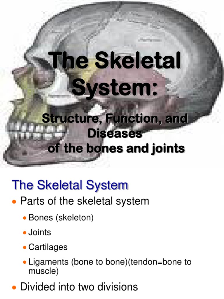 The Skeletal System:: Structure, Function, and Diseases of The Bones ...