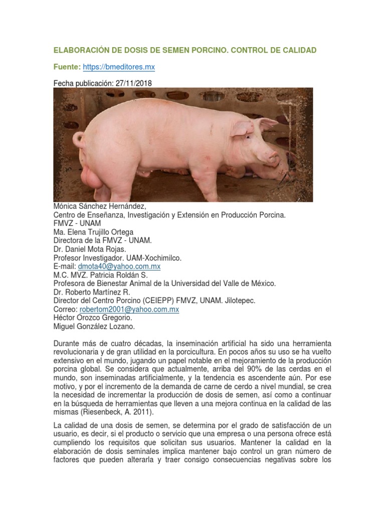 Proceso de Dilucion de Semen Porcino | PDF | Las bacterias | Laboratorios