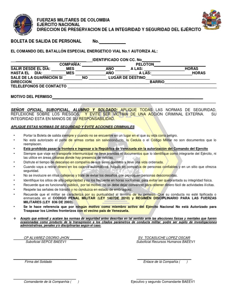 BOLETAS DE SALIDA 2017.docx | Seguridad nacional | Política