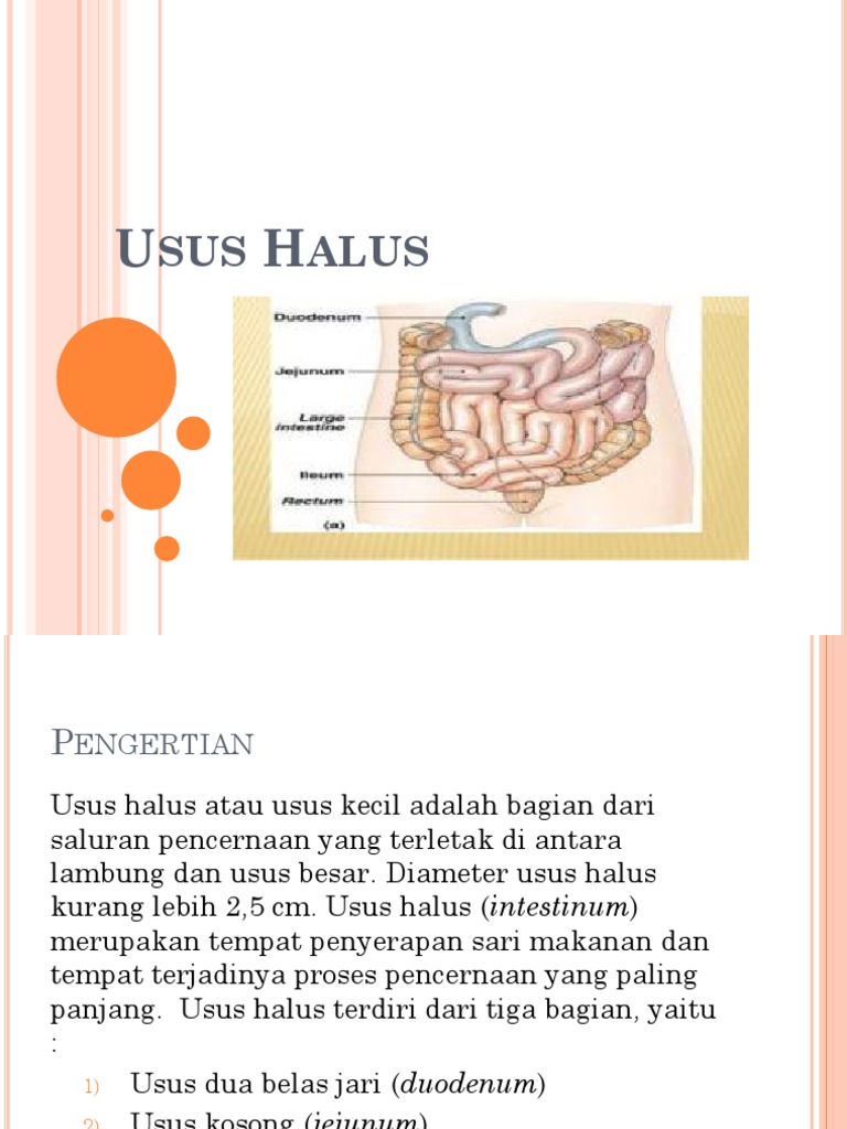 Usus Halus Fix | PDF | Kesehatan Holistik
