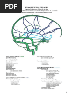 Facies Algicas | PDF | Anatomía humana | Especialidades Medicas