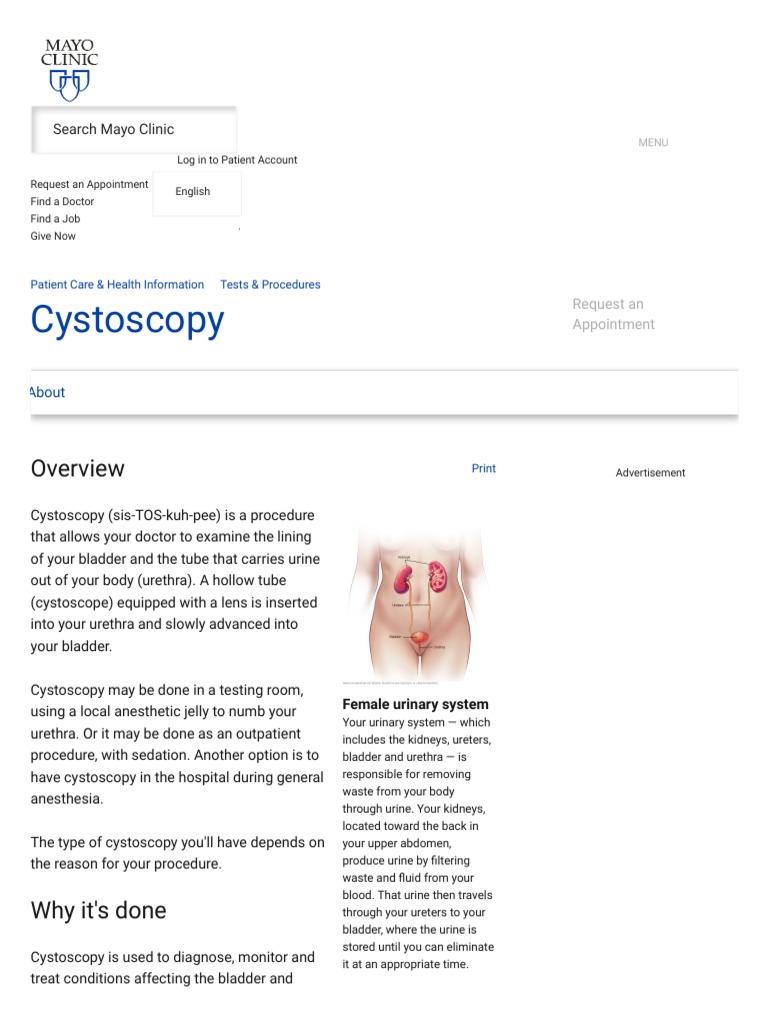 Cystoscopy - Mayo Clinic | PDF | Urinary Incontinence | Urinary Bladder