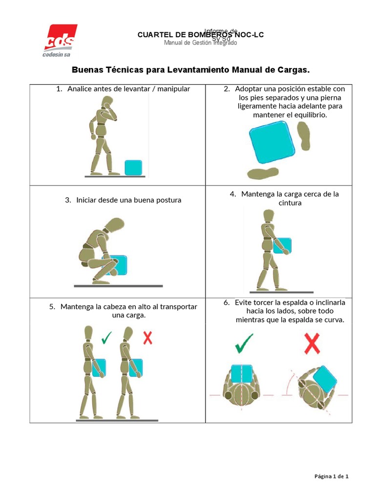 Levantamiento Manual de Cargas | PDF
