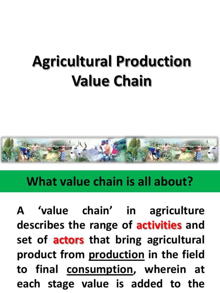 Agricultural Production Value Chain | PDF | Value Chain | Agriculture