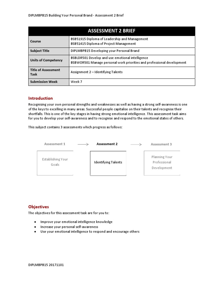 Personal Brand Assessment Task 2 Guide | PDF | Emotional Intelligence ...