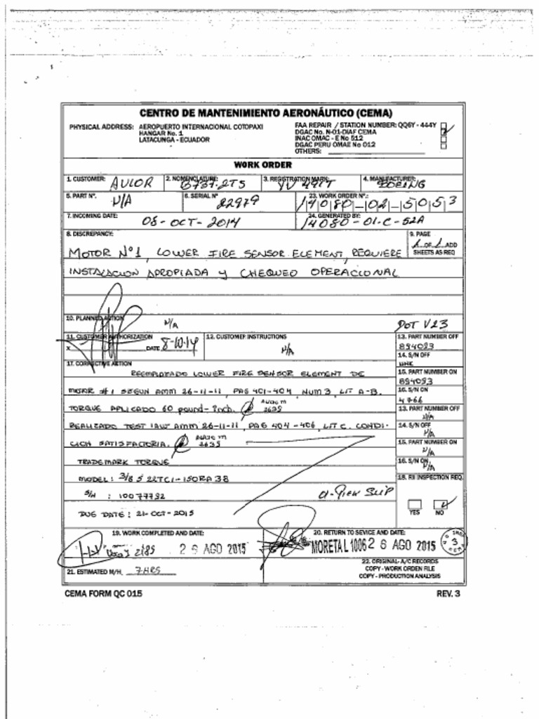 Ejemplo de Work Order PDF | PDF | Naturaleza