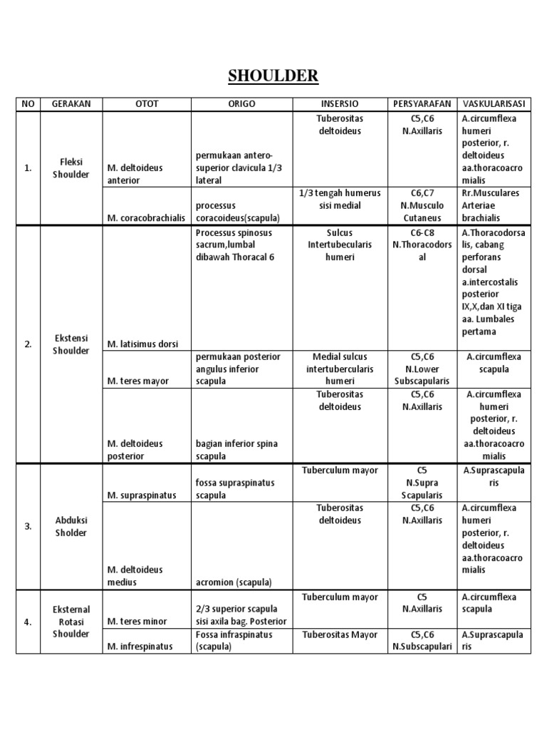 Origo Insersio | PDF | Limbs (Anatomy) | Musculoskeletal System
