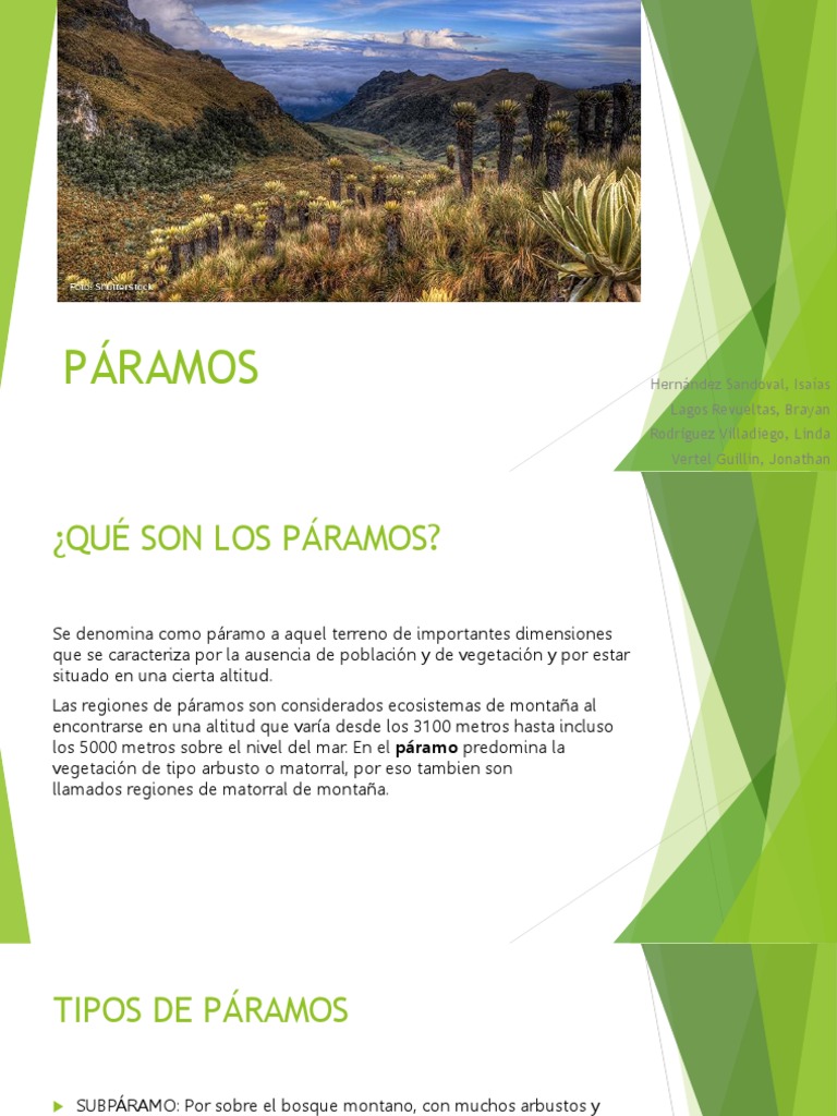 Características y Tipos de Páramos | PDF | Montañas | Ecosistema