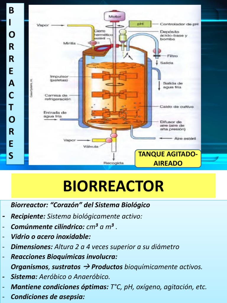 BIORREACTORES | Química | Ciencias fisicas