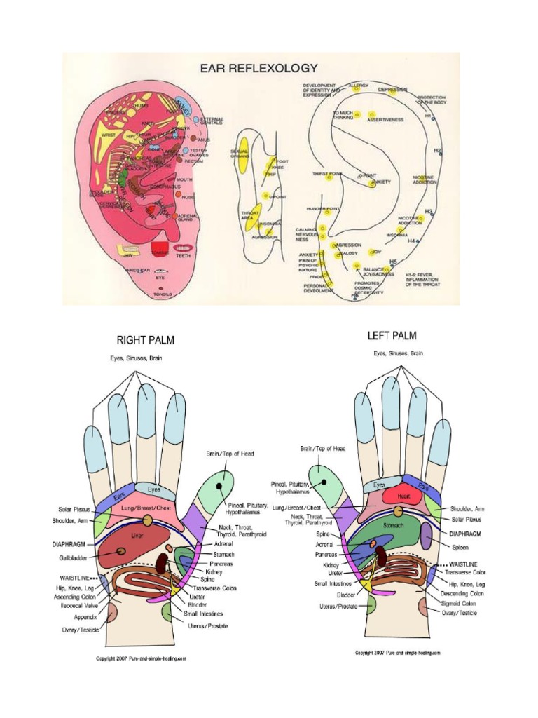 Ear and Hand Reflexology Chart | PDF