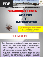 Ácaros del polvo: Dermatophagoides y Euroglyphus | PDF | Alergia