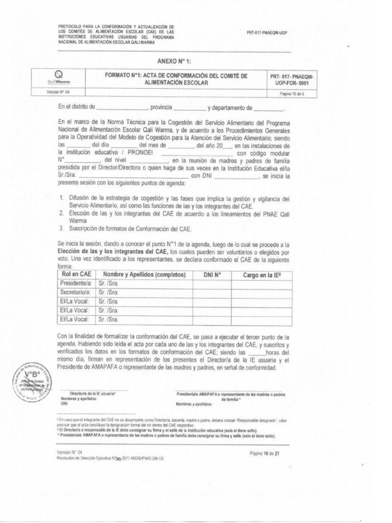 Acta para Conformar Cae | PDF