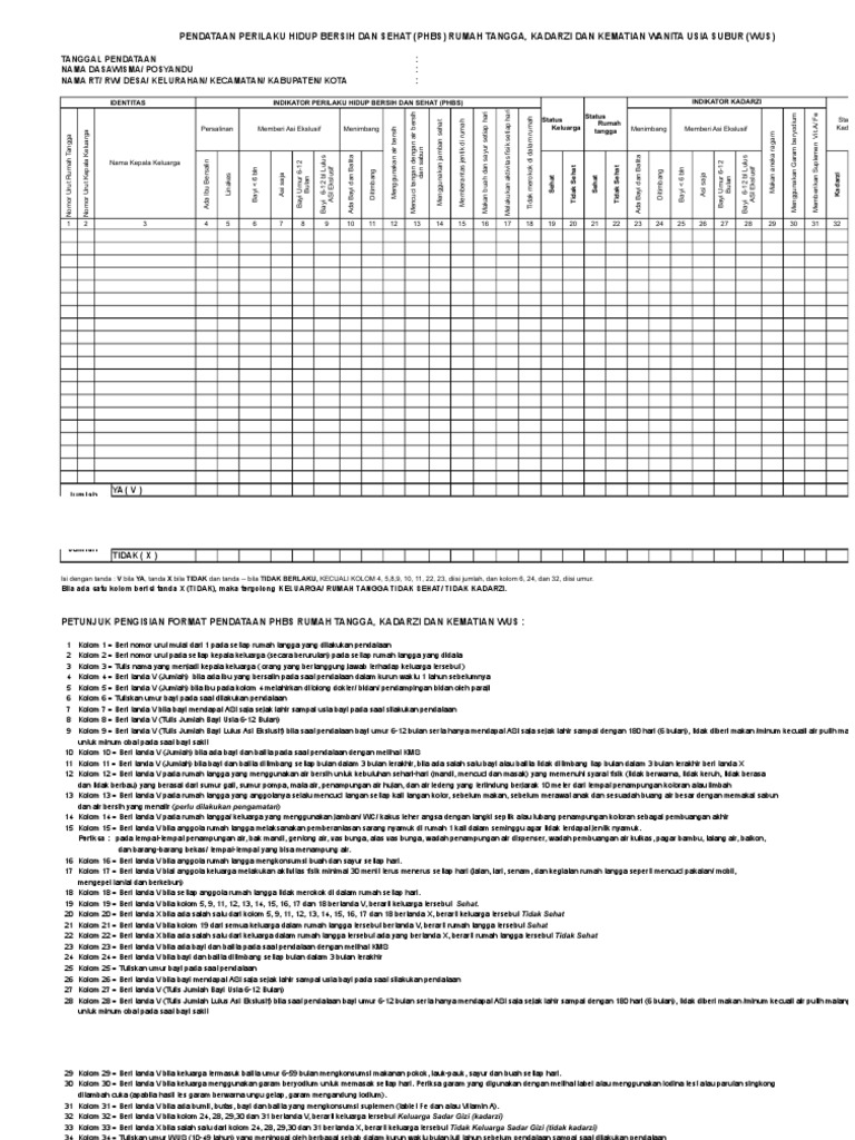 Format Pendataan PHBS | PDF