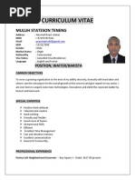 Fatima CV Example | PDF | Engineering | Teachers