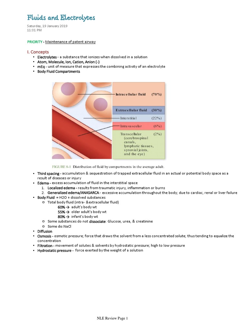 Fluids and Electrolytes Notes | Download Free PDF | Dehydration ...