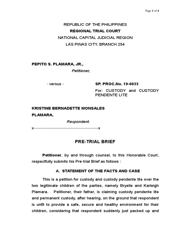 PRE TRIAL BRIEF Petition For Custody | PDF | Child Custody | Justice