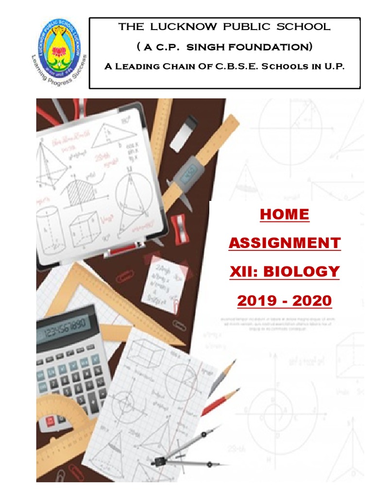 Holiday Homework Class XII Chemistry | PDF | Seed | Reproduction