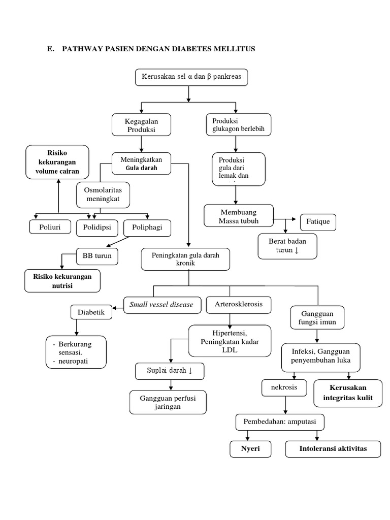 Pathway Diabetes Melitus dan Komplikasinya | PDF