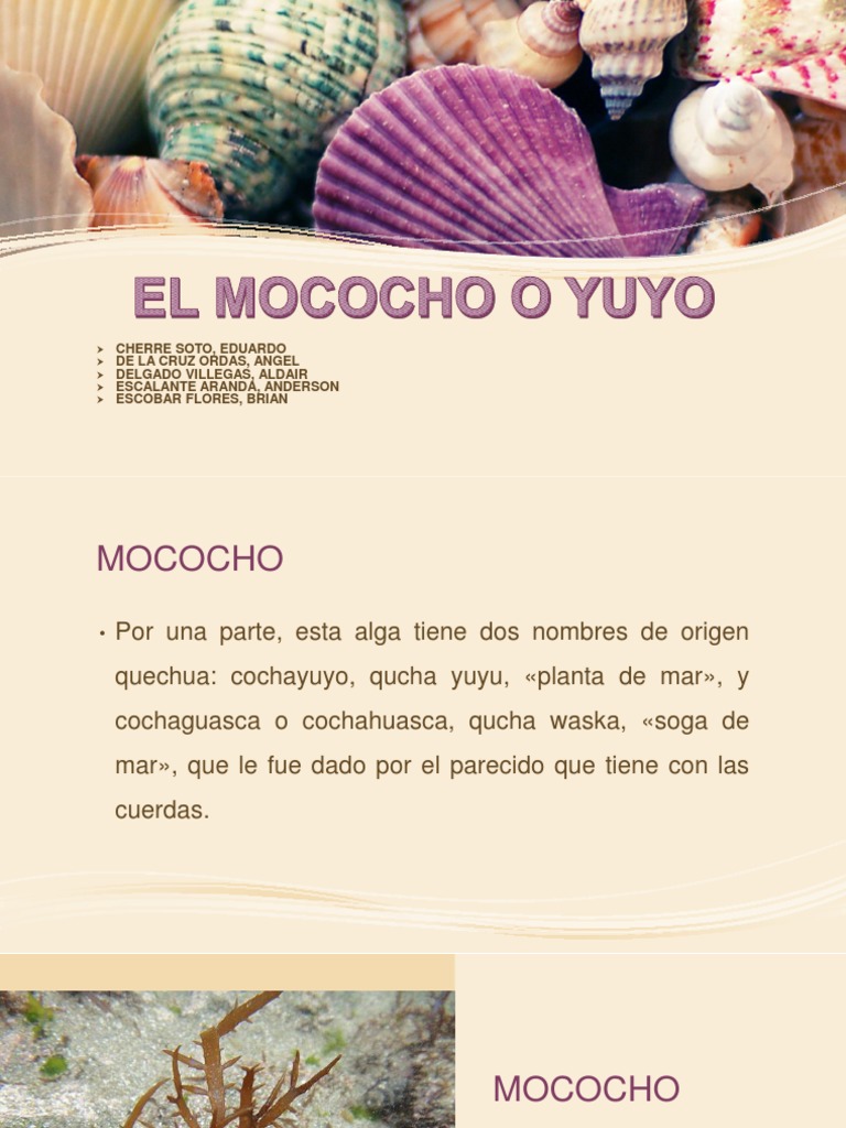 El Mococho o Yuyo | PDF | sal | Alimentos