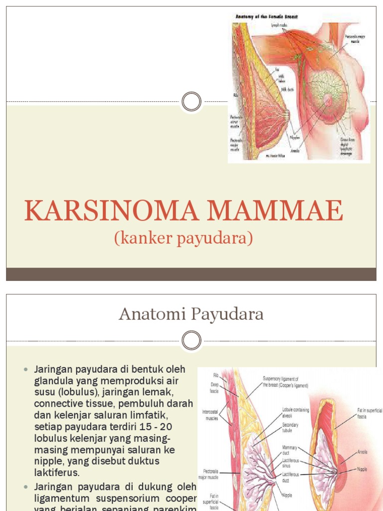 CA MAMMAE by Amru FIX | PDF