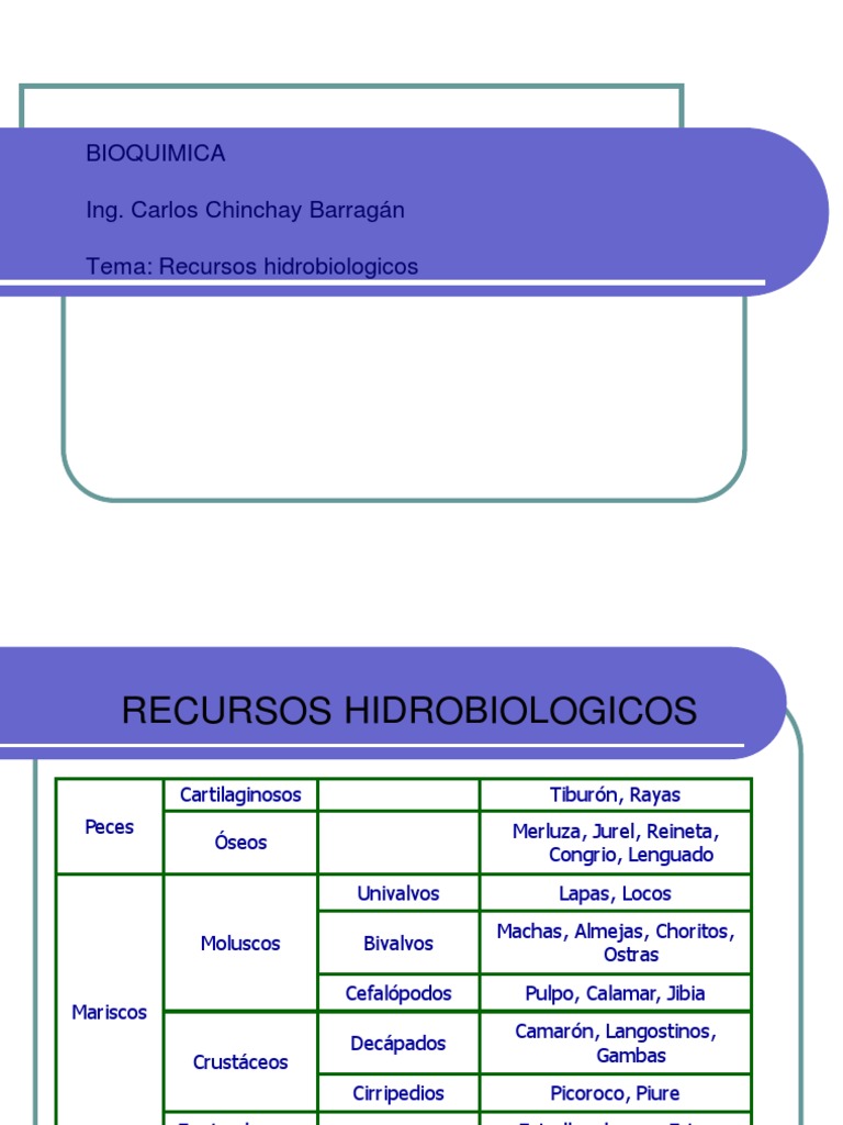 Recursos Hidrobiologicos | PDF | Branquia | Pescado