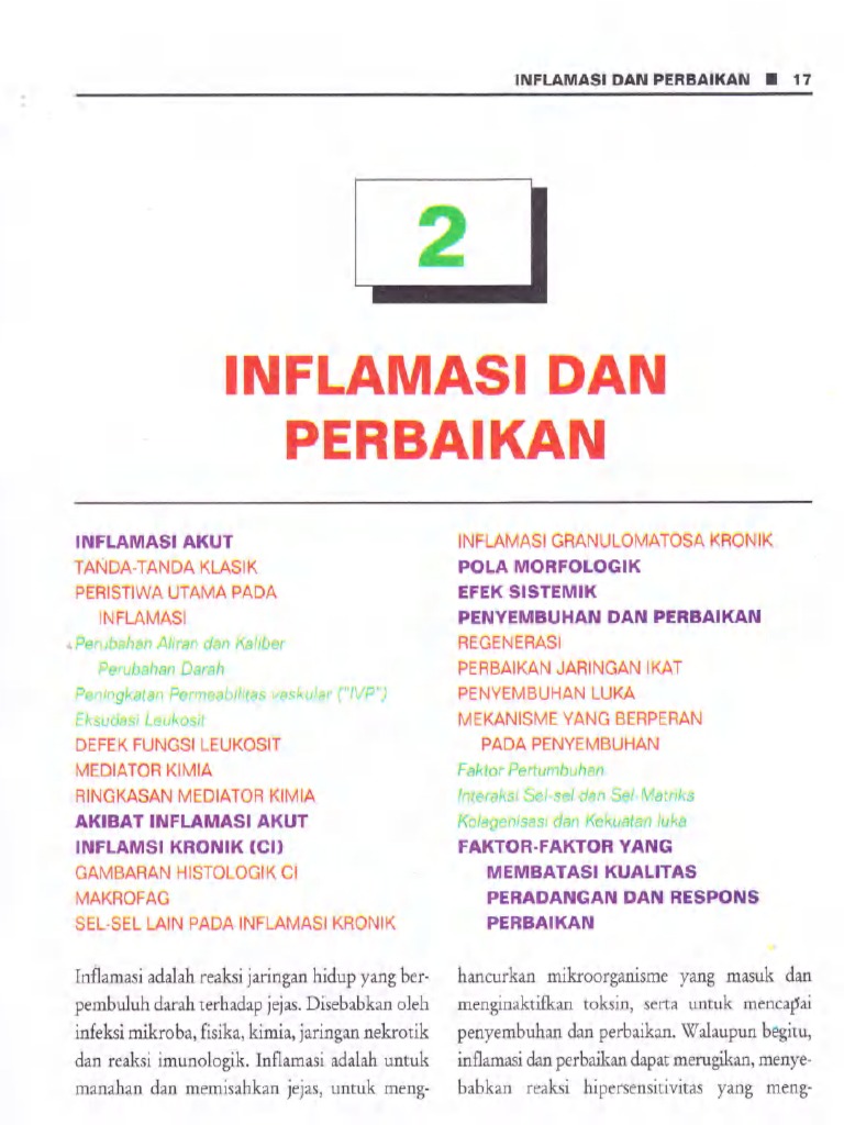 Bab 2. Inflamasi Dan Perbaikan | PDF
