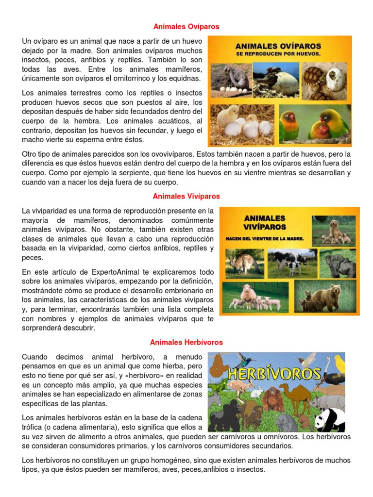 Animales Ovíparos, Viviparos, Hervivoros, Omnivoros, Verteebrados e ...