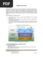 Modelo de Prominencia | PDF | Crecimiento personal y profesional