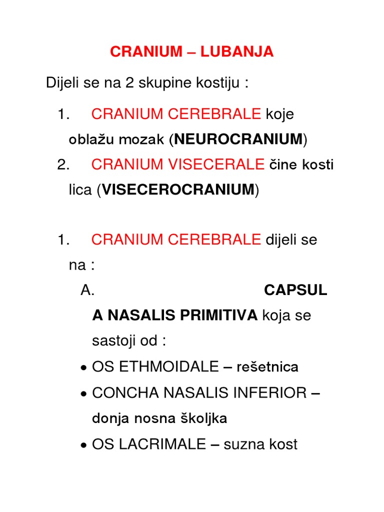 Anatomija - Skripta Sveee | PDF