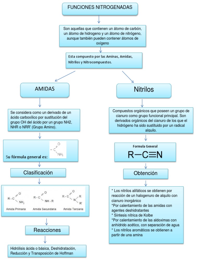 Funciones Nitrogenadas | PDF