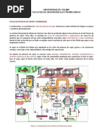 Ciclo Kalina | PDF | Temperatura | Naturaleza