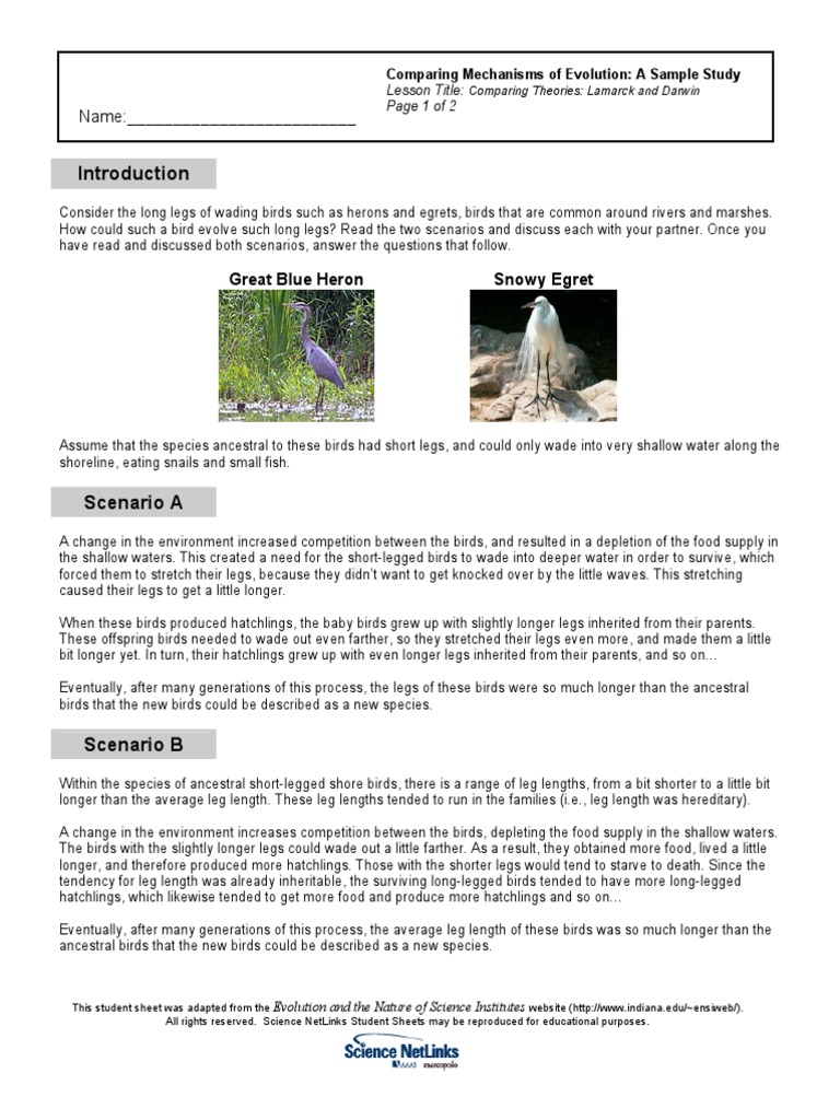 Darwin Vs Lamarck Worksheet PDF | PDF | Charles Darwin | Evolution