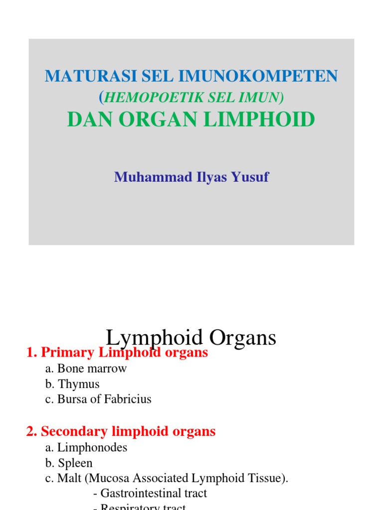 Maturasi Sel Imun dan Organ Limfoid | PDF | Science & Mathematics