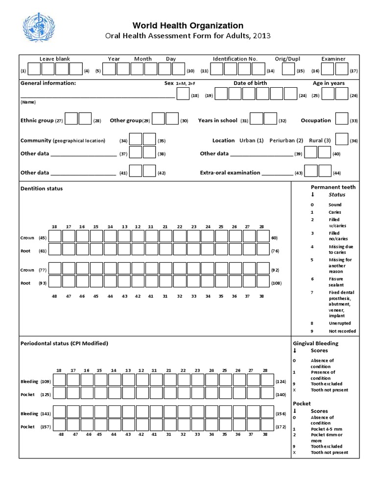 ORH Form Adult Tooth | PDF | Dentures | Tooth