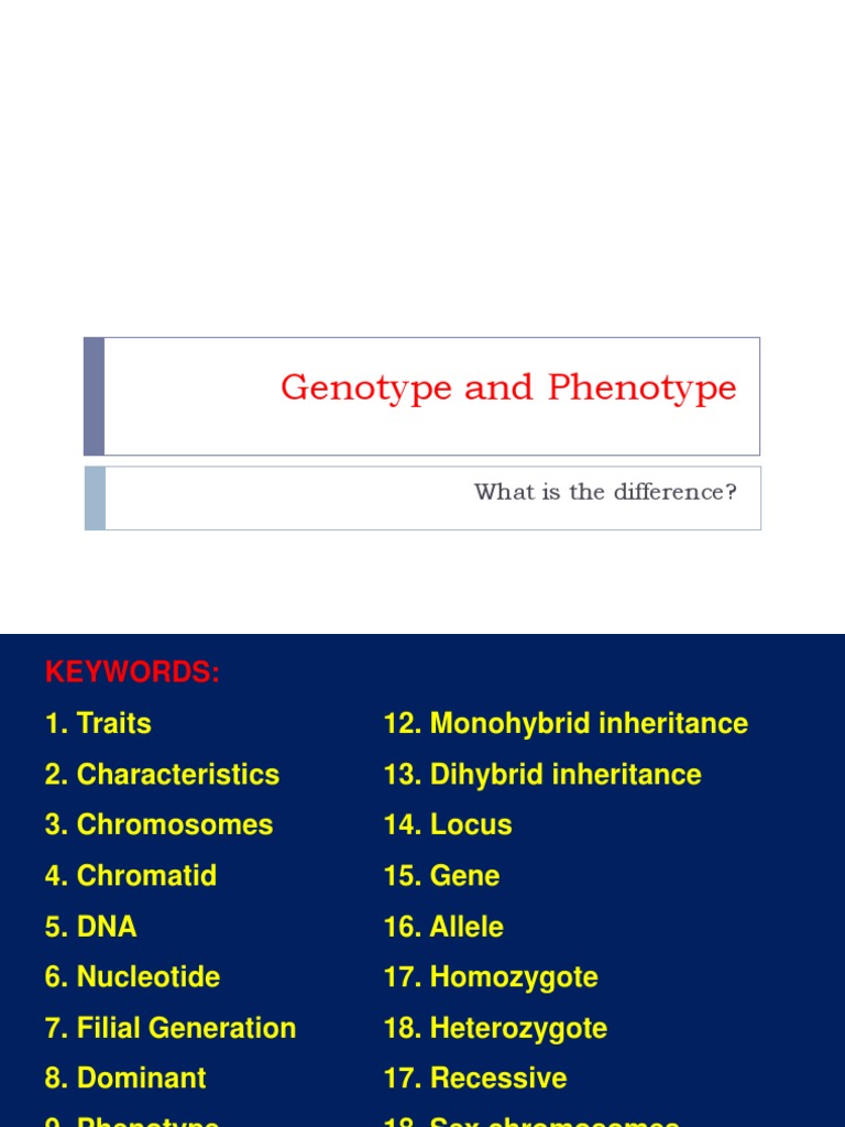 Genotype and Phenotype: What Is The Difference? | PDF | Dominance ...