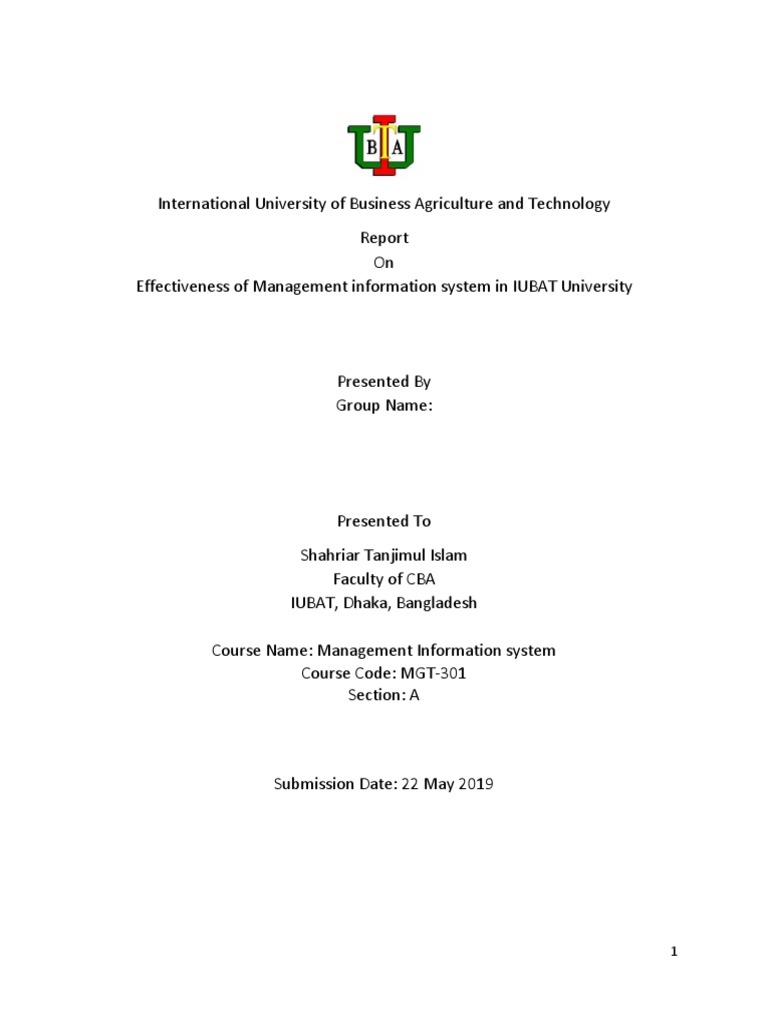 Mis Report | PDF | Management Information System | Information System