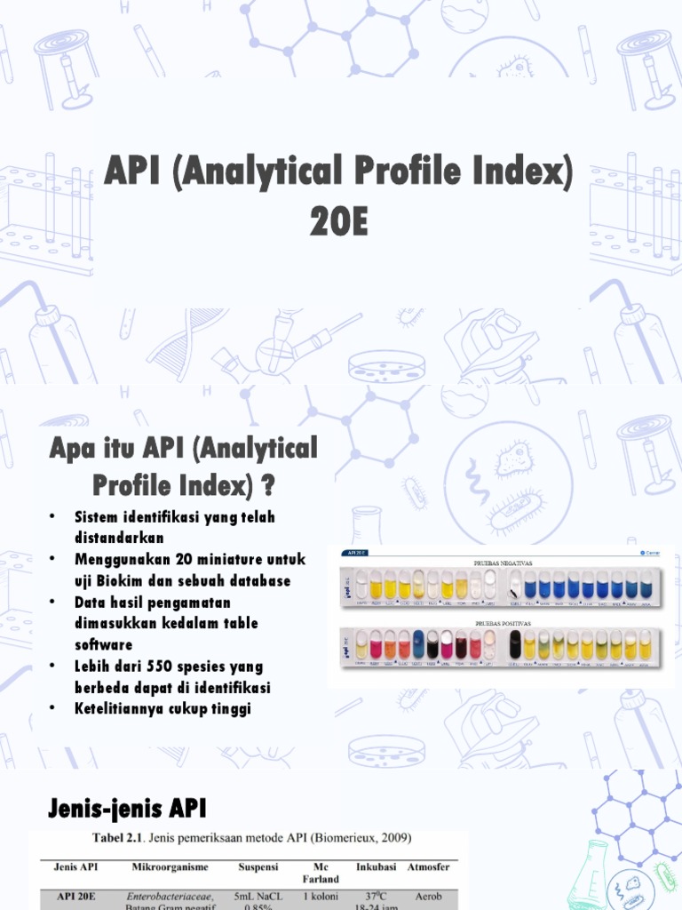 Api 20e | PDF | Sains & Matematika
