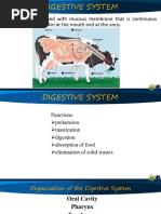 Sheep & Goat Lymph Node Guide | PDF | Thorax | Aorta