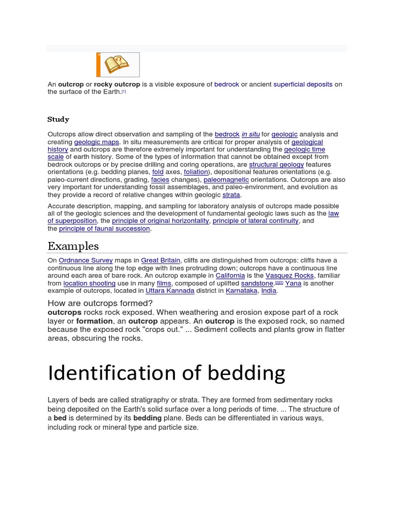 Identification of Bedding: Examples | PDF