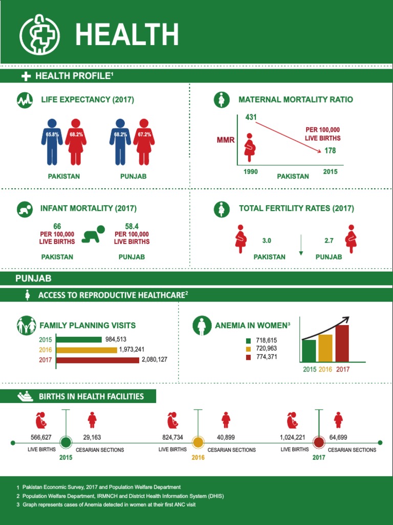 Health Profile | PDF | Physician | Health Care