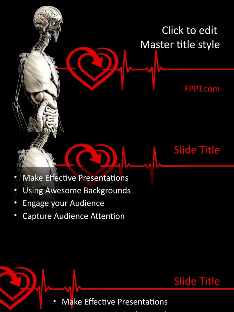 Anatomy Template for Presentations | PDF | Art