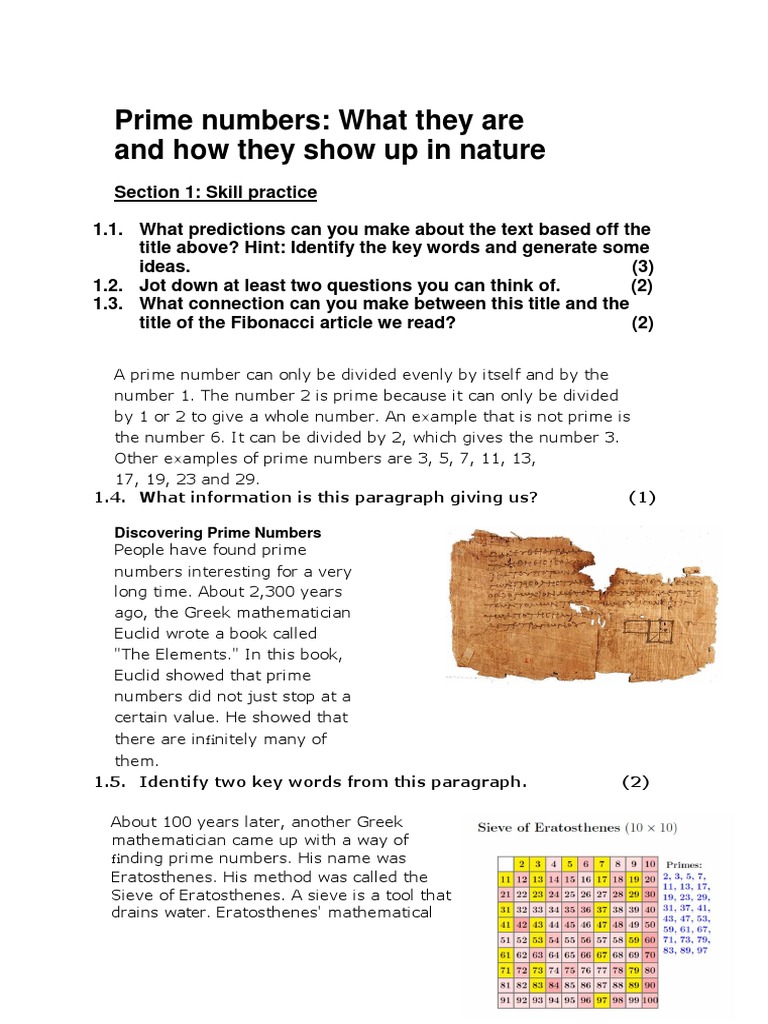 Prime Numbers in Nature Explained | PDF | Prime Number | Numbers