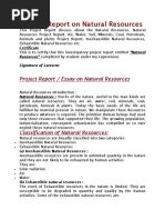 Project On Our Environment For Class 10 | PDF | Food Web | Ecosystem
