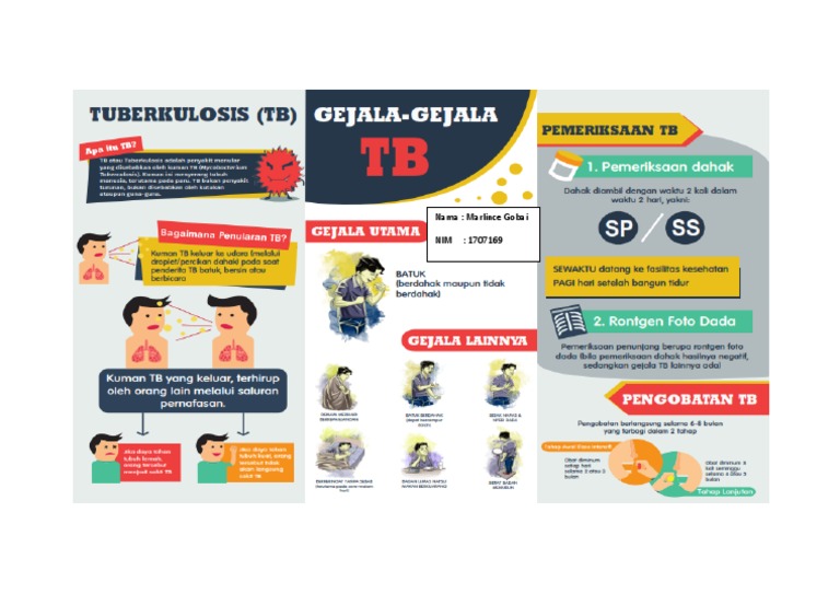 Leaflet TBC | PDF