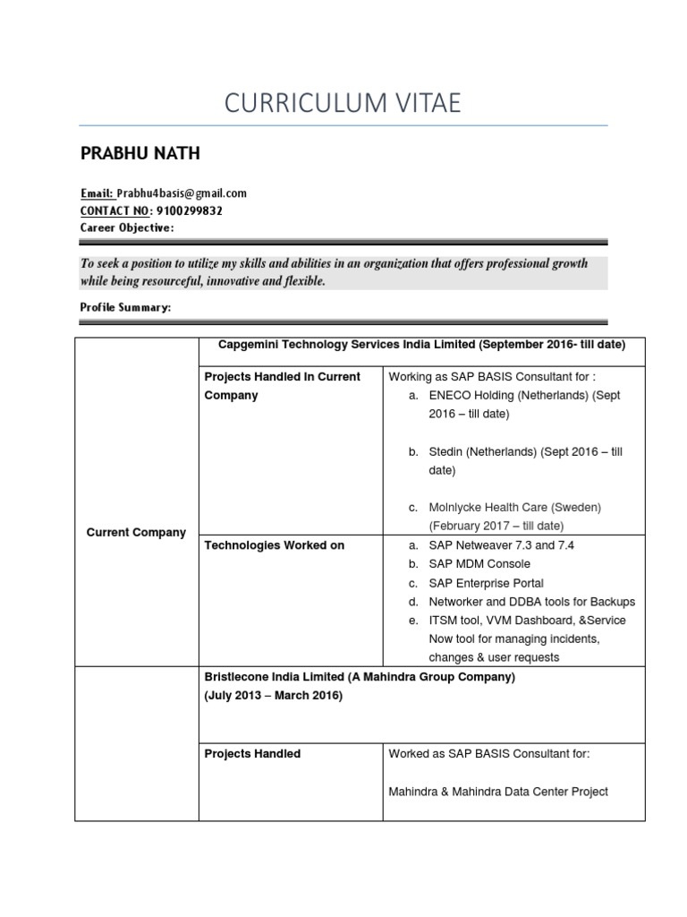 Curriculum Vitae: Prabhu Nath | PDF | Sap Se | Oracle Database